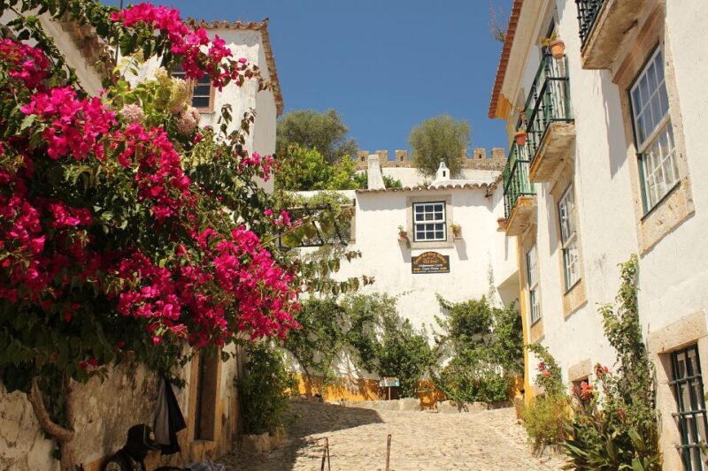 Private Tour to Fatima, Batalha, Nazare, Obidos From Lisbon - Analyzing the Value