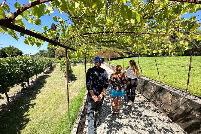 Private tour to Fatima, Nazare and Obidos - Final Thoughts: Is This Tour for You?