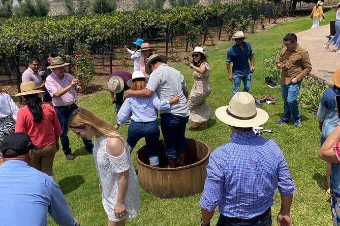 Private Tour to Finca Estramancia Vineyard and the Chapala Riviera - Exploring the Private Tour to Finca Estramancia Vineyard and the Chapala Riviera: A Balanced Look