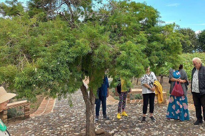 Private Tour to Finca Estramancia Vineyard and the Chapala Riviera - Who Will Enjoy This Tour Most?