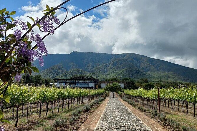 Private Tour to Finca Estramancia Vineyard and the Chapala Riviera - FAQs