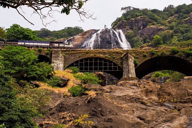 Private Tour to Goa and Dudhsagar Waterfalls with Lunch - Who Should Consider This Tour?