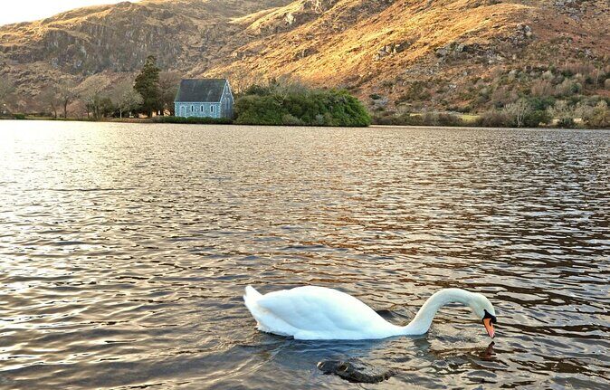 Private tour to Gougane Barra and Glengarriff - A Close-Up Look at Ireland’s Scenic Treasures: The Private Tour to Gougane Barra and Glengarriff