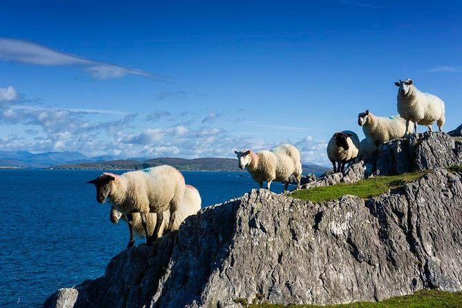 Private tour to Gougane Barra and Glengarriff - FAQs