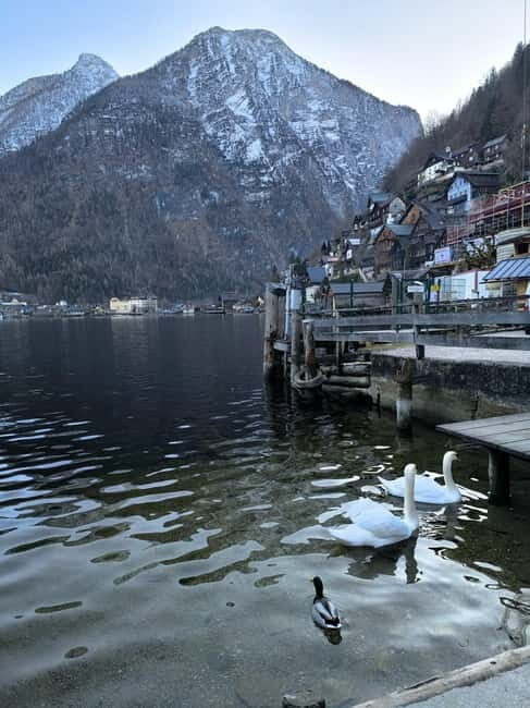 Private Tour to Hallstatt & Salzburg  Comfort and Elegance - Key Points