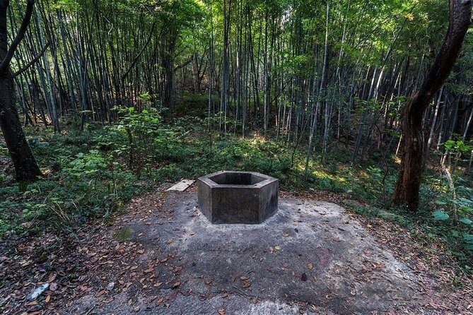 Private Tour to Hike on Qionglong Mountain with Vegetarian Noodles & Tea Tasting - Transportation and logistics