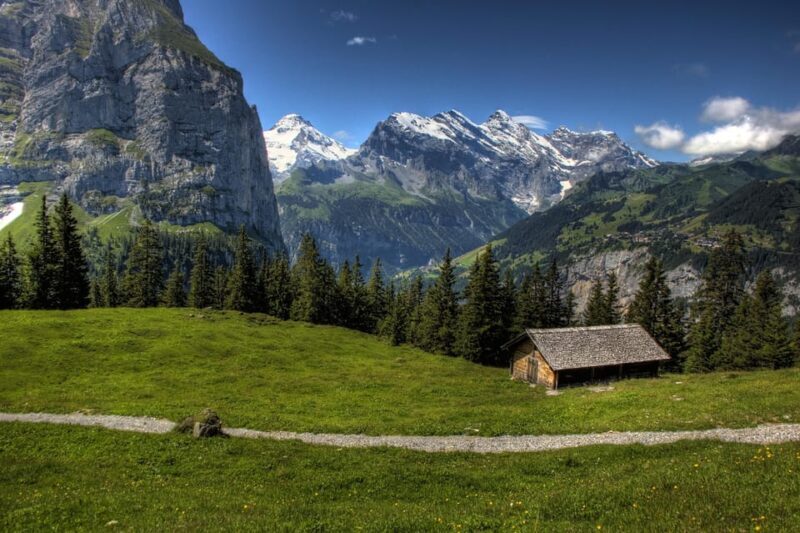Private tour to Interlaken from Zurich - Transportation and Comfort