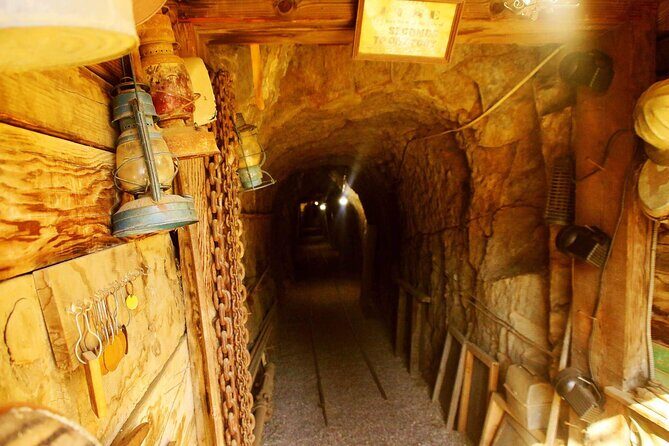 Private Tour to Julian Goldmine and see the lovely mountain town - Final thoughts