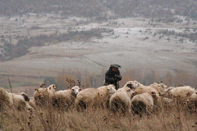 Private Tour to Kazbegi from Tbilisi - An Honest Look at the Private Kazbegi Tour from Tbilisi