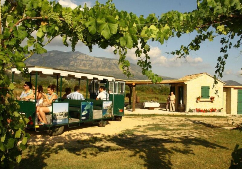 Private tour to Konavle valley with wine tasting - Who Will Love This Tour?