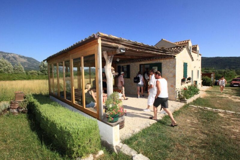 Private tour to Konavle valley with wine tasting - The Sum Up