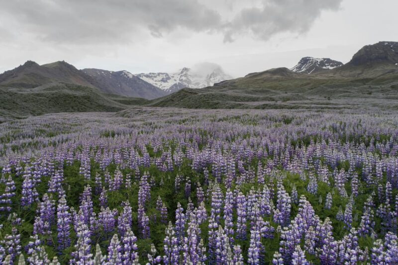 Private Tour to Landmannalaugar. Explore the Highlands - Final Thoughts: Is It Worth It?