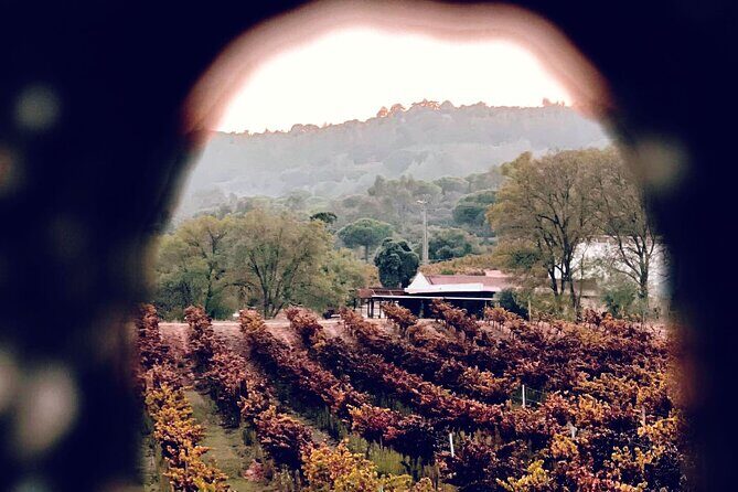 Private tour to marvelous Setúbal, the pearl of Sado - Final Thoughts