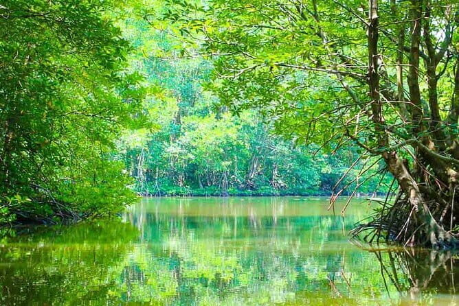 Private Tour to Mekong Delta Day Tours Vietnam My Tho and Ben Tre - Summary of Pros and Cons