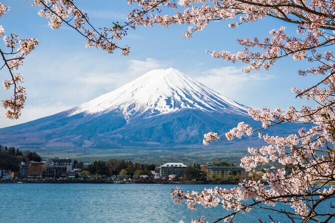 Private tour to Mount Fuji and Hakone from Tokyo - Key Points