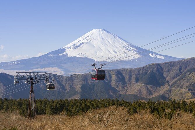 Private tour to Mount Fuji and Hakone from Tokyo - Final Thoughts