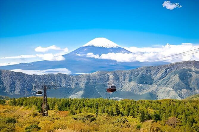 Private Tour to Mount Fuji & Hakone with English Speaking Guide - An Authentic Day of Japan’s Natural Beauty: Private Tour to Mount Fuji & Hakone