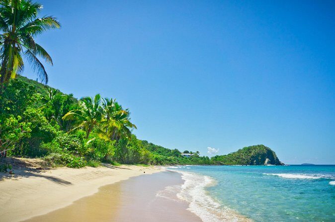 Private Tour to Mount Healthy National Park - Authentic Experiences and traveler insights