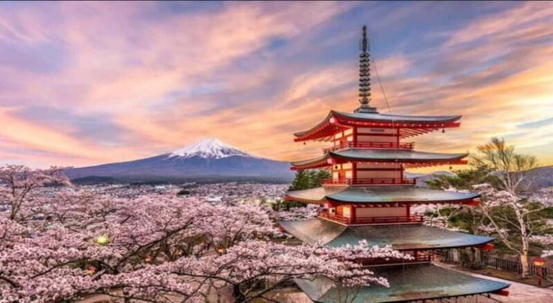 Private Tour to Mt Fuji and Hakone with English Driver - Key Points