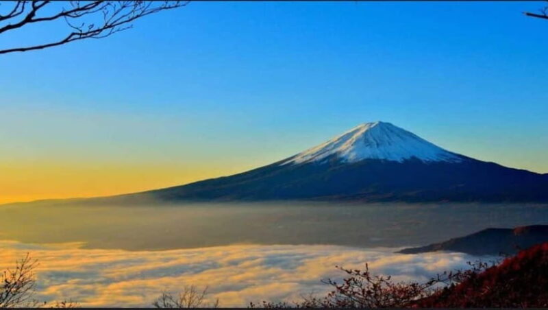 Private Tour to Mt Fuji and Hakone with English Driver - The Experience in Perspective