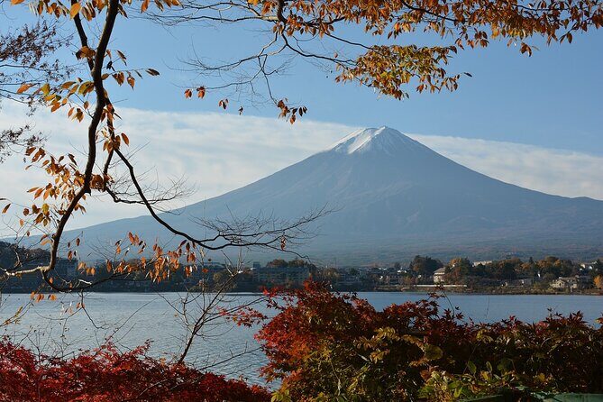 Private Tour to Mt Fuji and Hakone with English Speaking Driver - Key Points