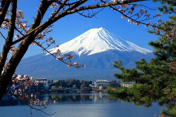 Private Tour to Mt Fuji, Lake Kawaguchi with Limousine and Driver - An In-Depth Look at Japan’s Scenic Highlights and Shopping in One Day