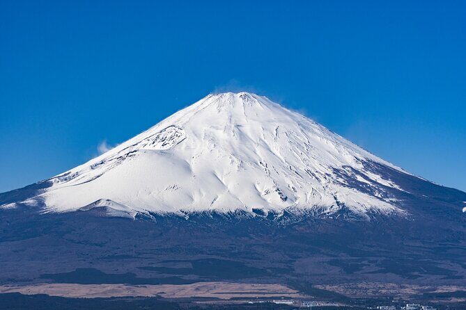 Private Tour to Mt Fuji, Lake Kawaguchi with Limousine and Driver - What Travelers Say About This Tour