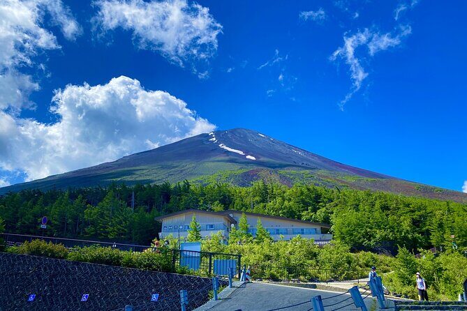 Private Tour to Mt Fuji, Lake Kawaguchi with Limousine and Driver - Who Would Benefit Most From This Tour?