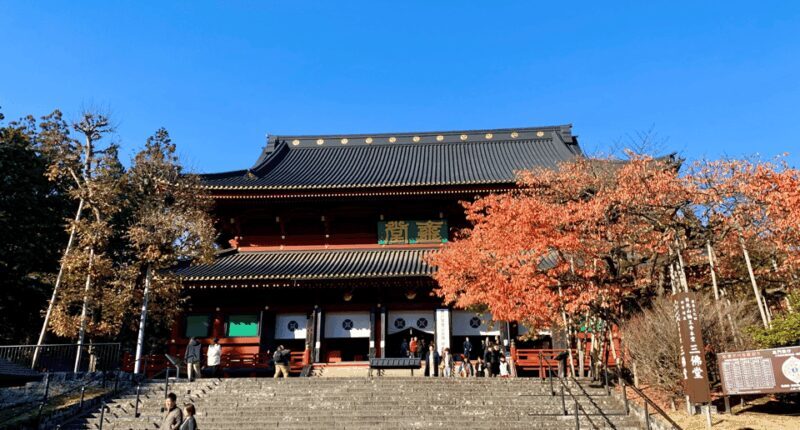 Private tour to Nikko with an Spanish-speaking Guide - Key Points