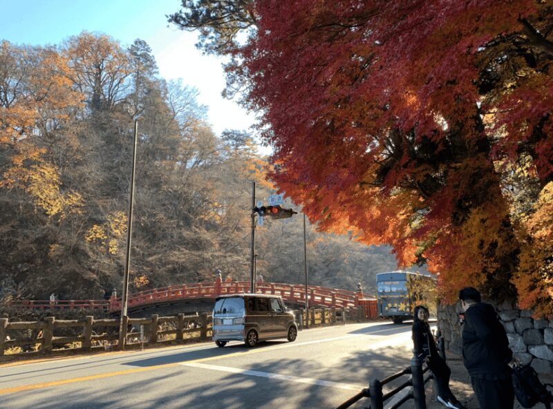 Private tour to Nikko with an Spanish-speaking Guide - The Practicalities: Costs and Comfort