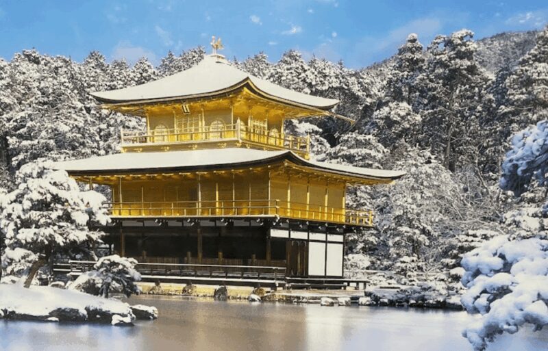 Private tour to Osaka&Kyoto&Nara(Pickup location selectable) - Introduction: Why Consider This Tour?