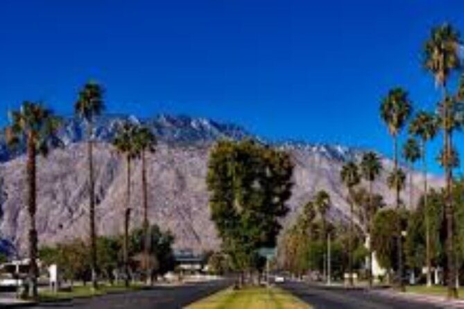 Private tour to Palm Springs from Los Angeles - The Sum Up
