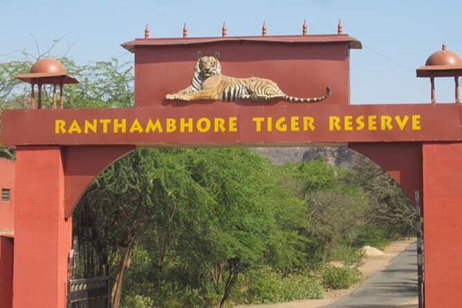 Private Tour to Ranthambore Tiger Reserve from Jaipur - Who Should Consider This Tour?