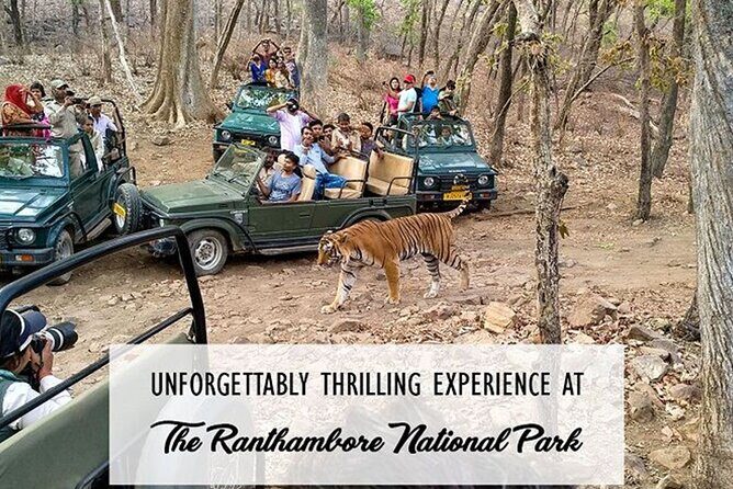 Private Tour to Ranthambore Tiger Reserve from Jaipur - Frequently Asked Questions