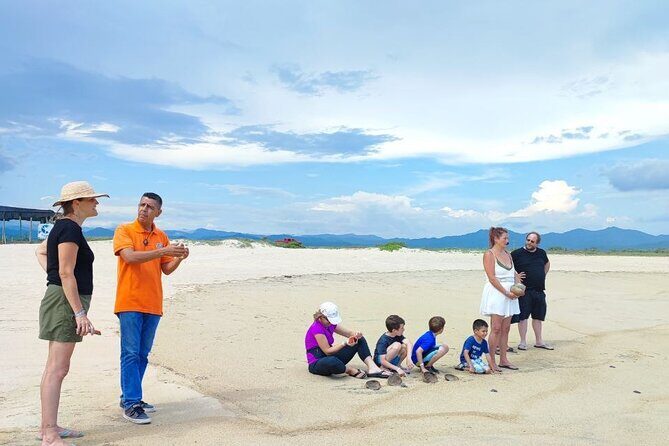 Private tour to release turtles with tickets included - The Experience You Can Expect