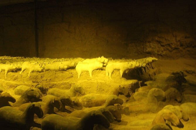 Private tour to Samll Terroctta army and Xi'an city tour - An In-Depth Look at the Tour Itself