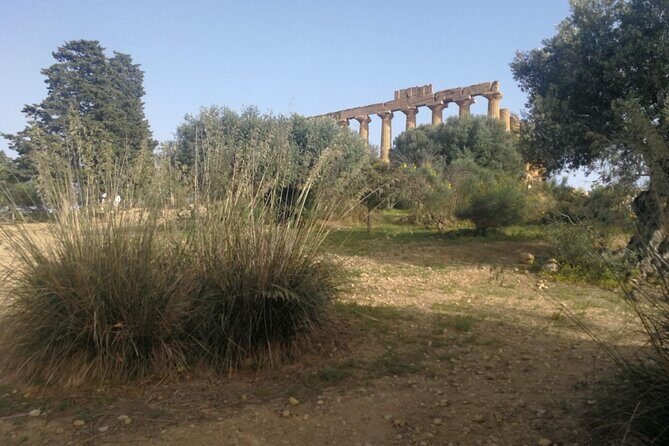 Private Tour to Segesta, Erice and Wine Tasting in Marsala - Final Thoughts
