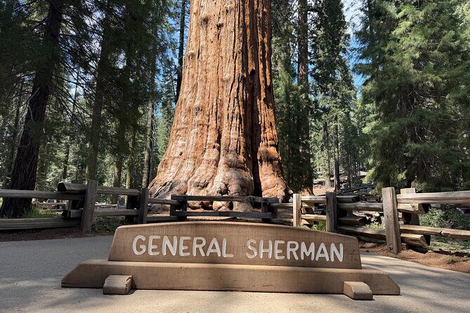 Private Tour to Sequoia and Kings Canyon National Parks - Introduction