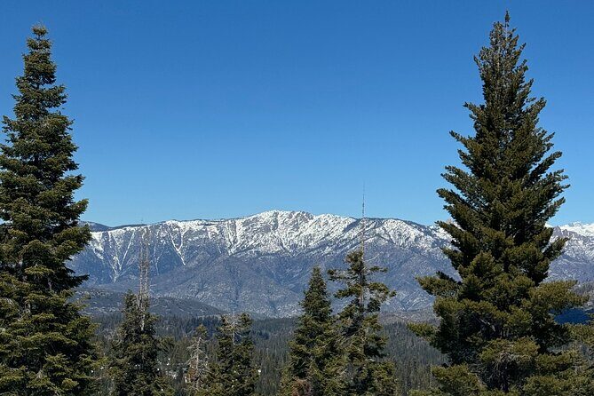 Private Tour to Sequoia and Kings Canyon National Parks - A Close Look at the Itinerary