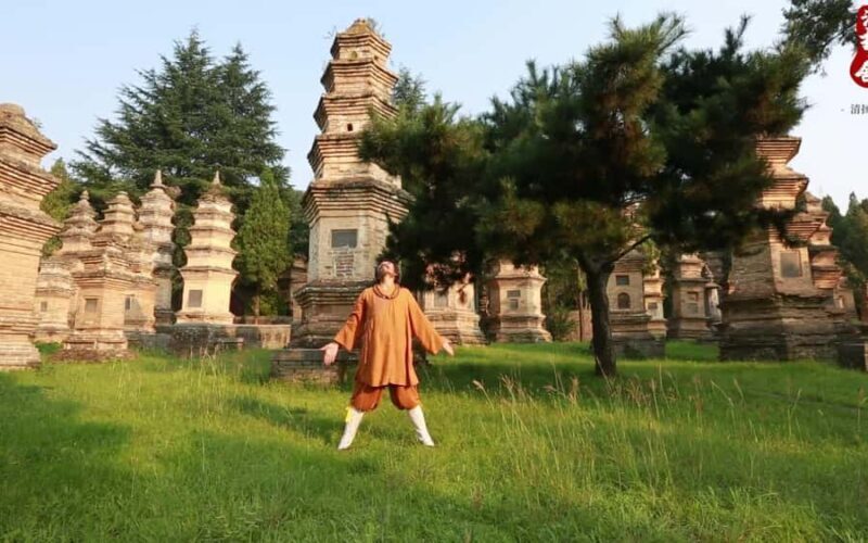 Private tour to Shaolin Temple and Longmen Grottoes - Key Points
