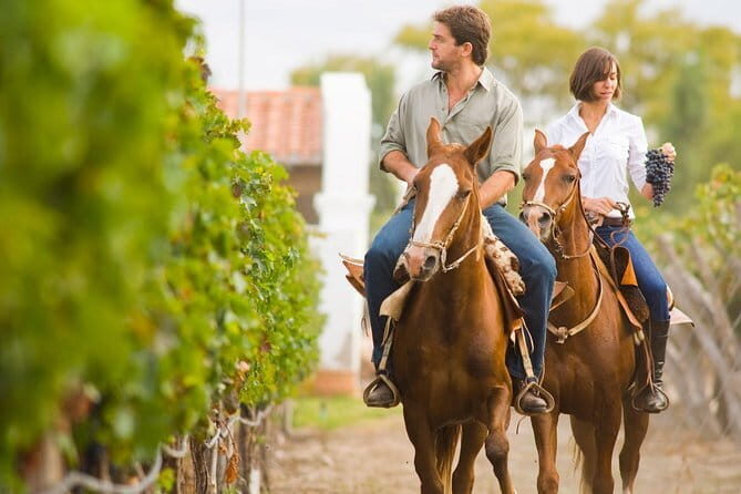 Private Tour to Siena and Montalcino from Florence - Final Thoughts: Is It Worth It?