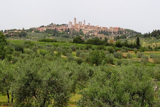 Private Tour to Siena and San Gimignano with Wine Tasting & Lunch - Who This Tour Is Best For