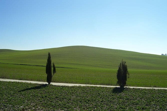 Private Tour to Siena and San Gimignano with Wine Tasting & Lunch - Itinerary Breakdown