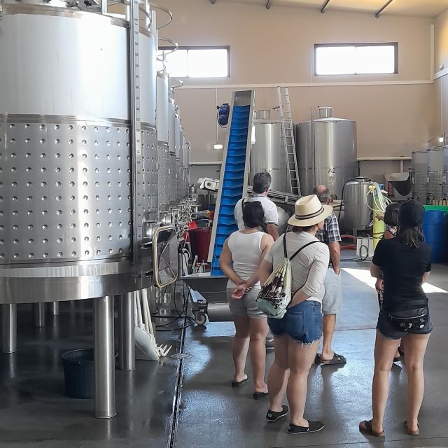 Private Tour to Silves Castle Whith Algarvian Wine Tasting - Key Points