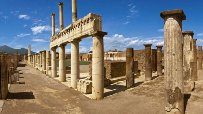 Private Tour to Sorrento Coast Pompeii and Vesuvius - Key Points