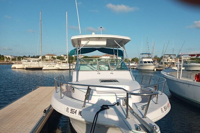 Private Tour to Stingray City & Snorkeling at Coral Gardens - Exploring the Best of Grand Cayman: Private Tour to Stingray City & Snorkeling at Coral Gardens