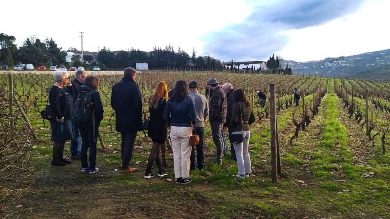Private Tour to stunning Douro Valley and renowned wineries - Exploring the Itinerary and Highlights