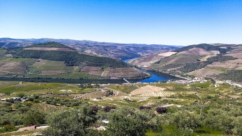 Private Tour to stunning Douro Valley and renowned wineries - What Past Travelers Say