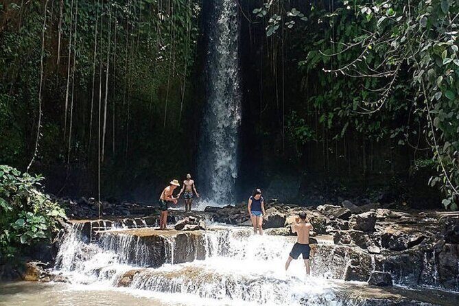 Private Tour to Sumampan Waterfall, Monkey forest, Rice terraces and Swing - Who Should Consider This Tour?