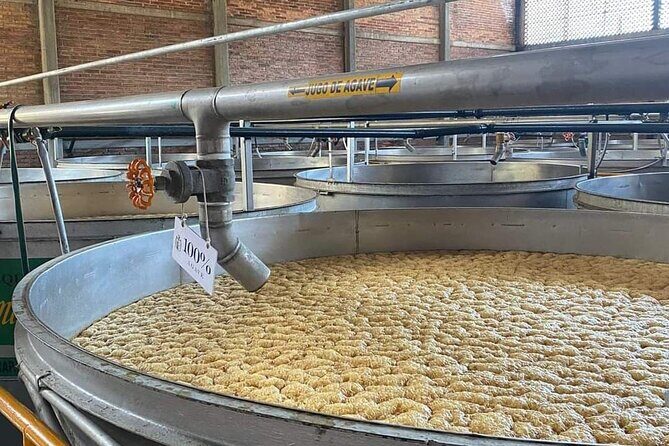 Private Tour to Tequila Distillery and Cantaritos and Celebration - A Closer Look at What the Tour Offers